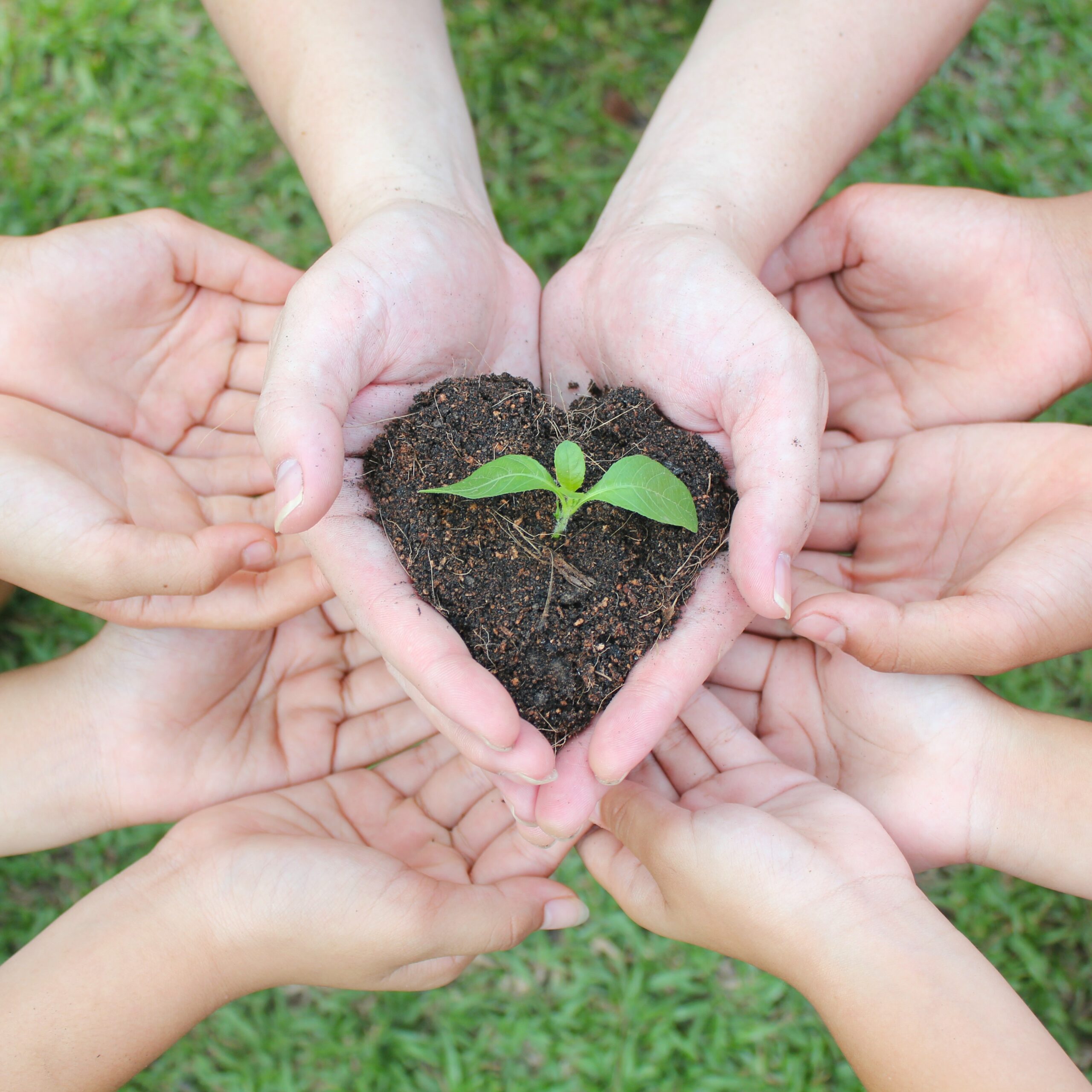 Helping Each Other to Grow Spiritually - Adventist Research